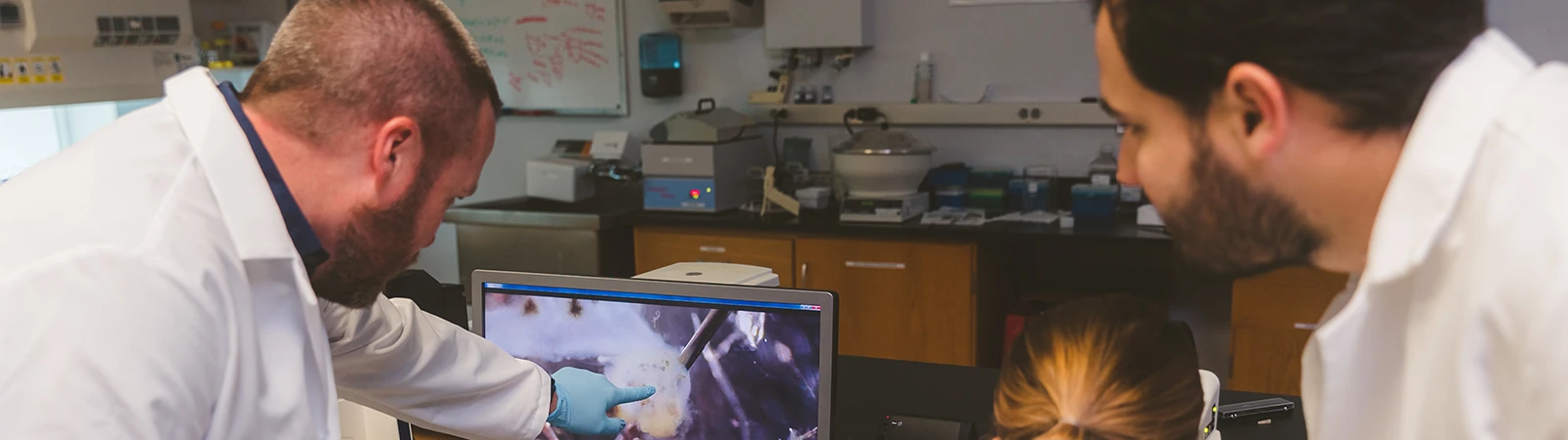 Department of Biomedical Engineering | FIU College of Engineering ...